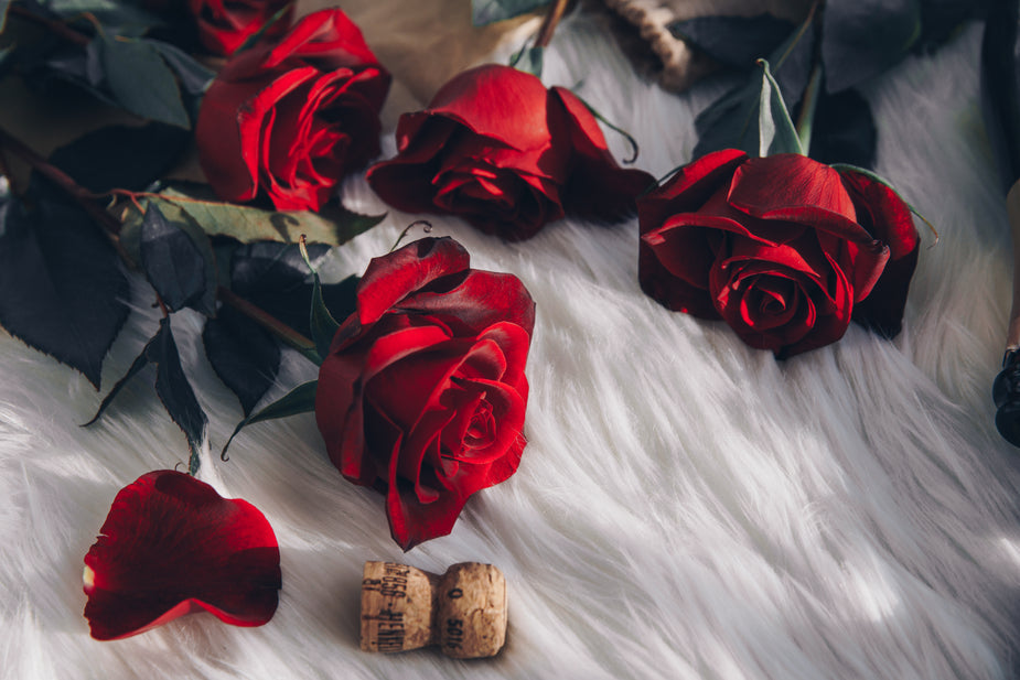 Roses – Imagine Flowers