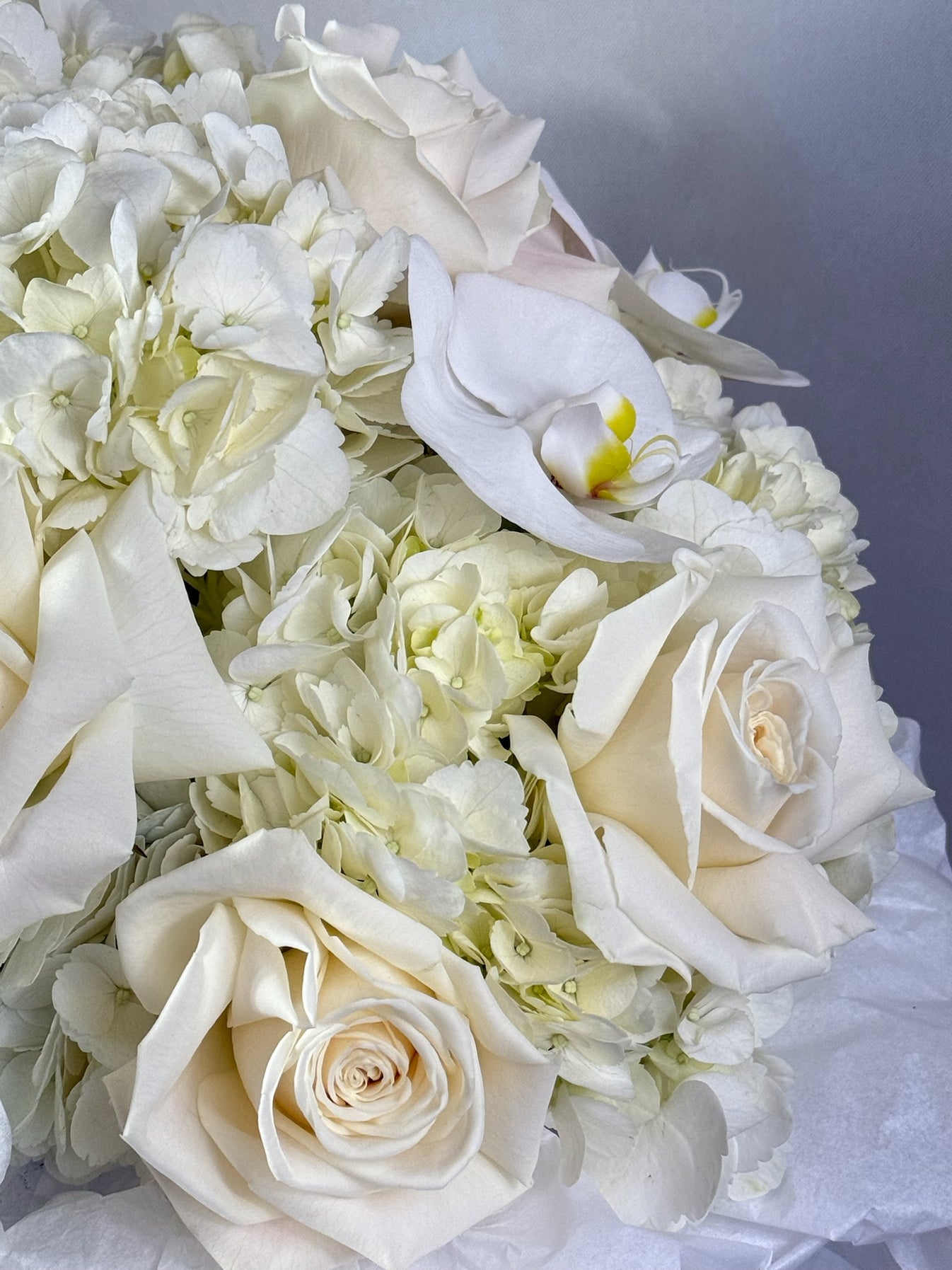 Aphrodite flower box – Imagine Flowers